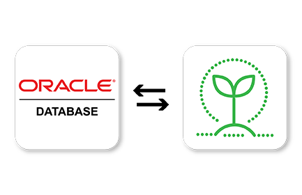 Oracle Database (DB) Integration Made Easy | Cleo