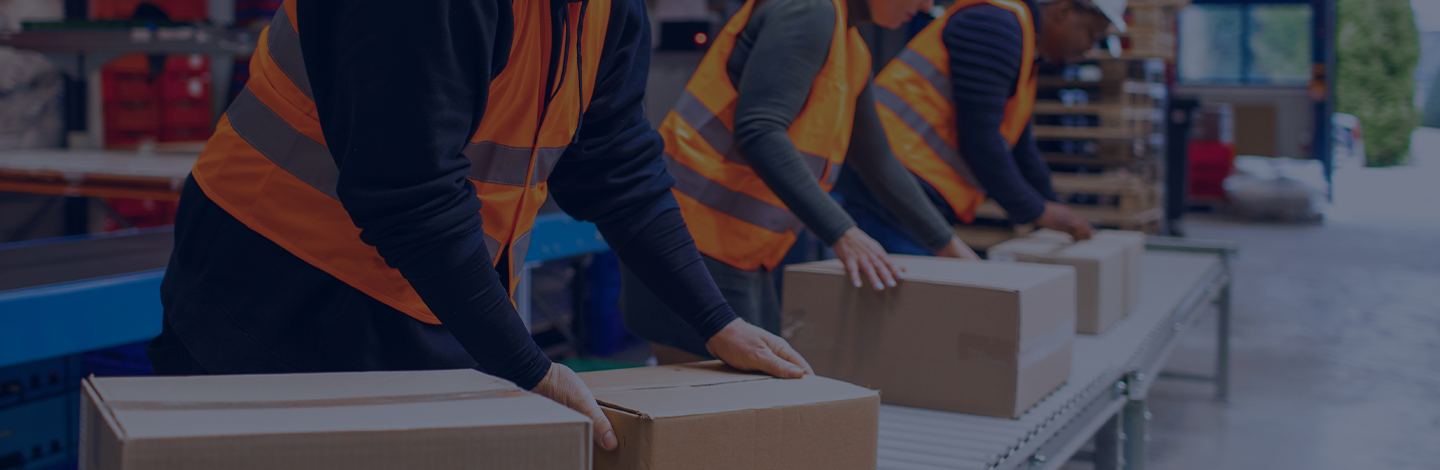 Top-Rated Order Automation Solution | Cleo